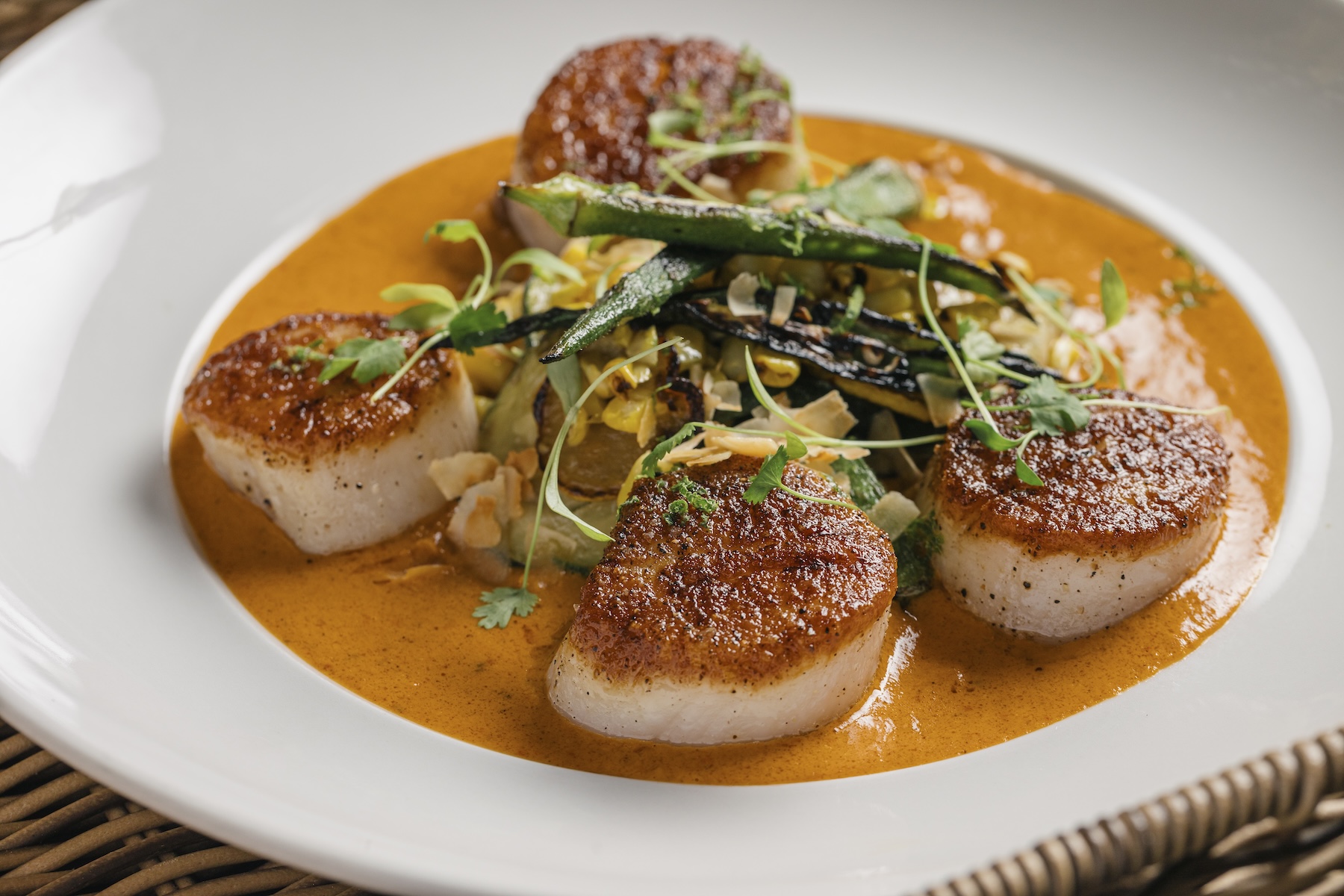 The Differences Between 8 Types Of Scallops, Explained | Press | Sunda